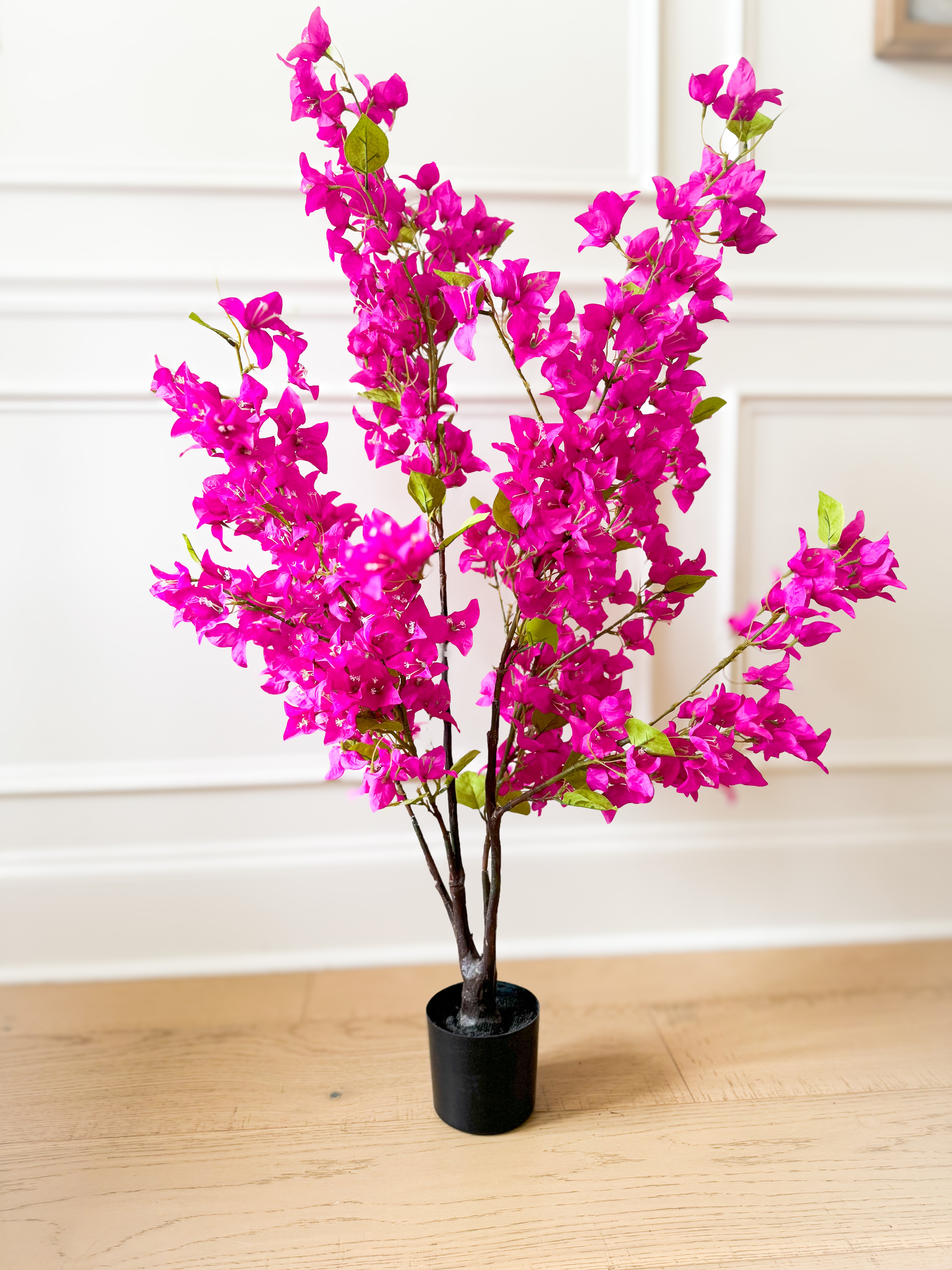 Blanc Home Collection – Blanc Box