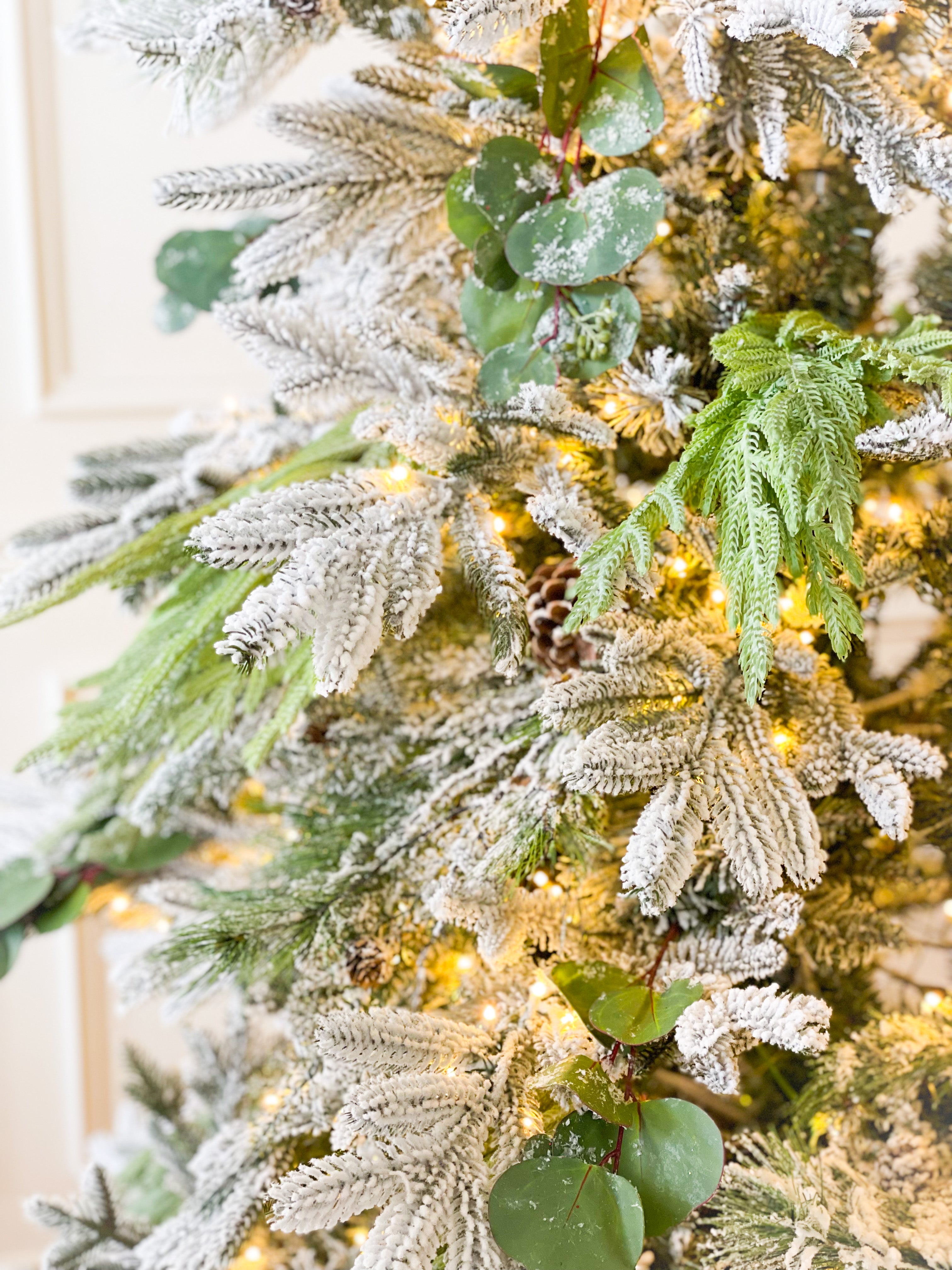 Evergreen & Flock Boxes – Blanc Box